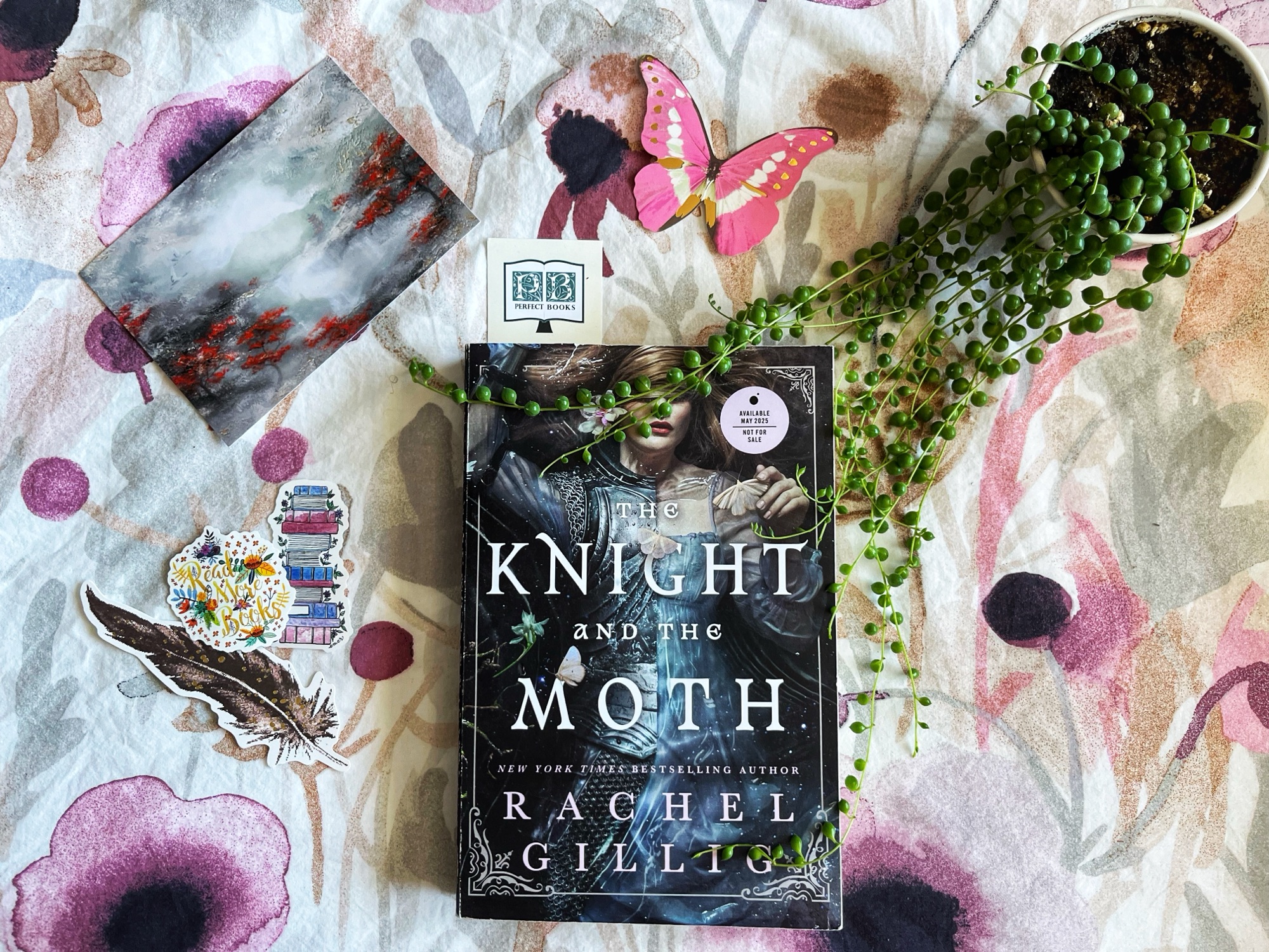 Book Review: The Knight and the Moth by Rachel Gillig – Worn Pages and Ink