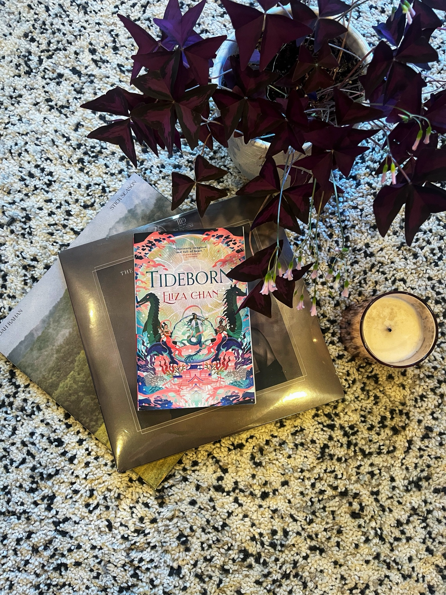 Book Review: Tideborn by Eliza Chan – Worn Pages and Ink